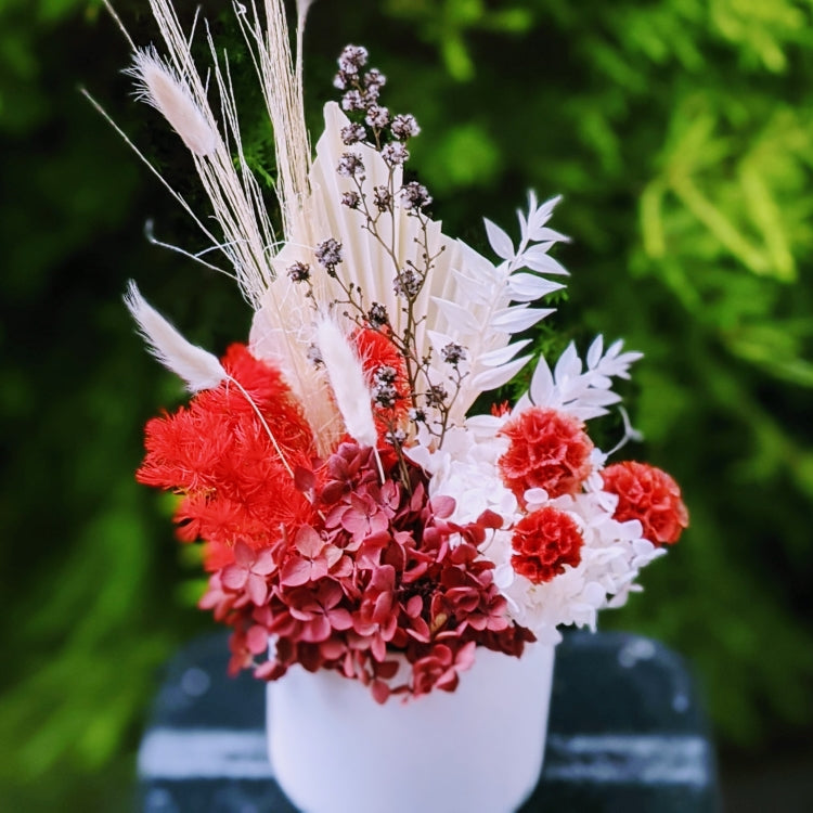 Jolene - Small Everlasting Red White Dried Arrangement – Ollie's Blooms ...