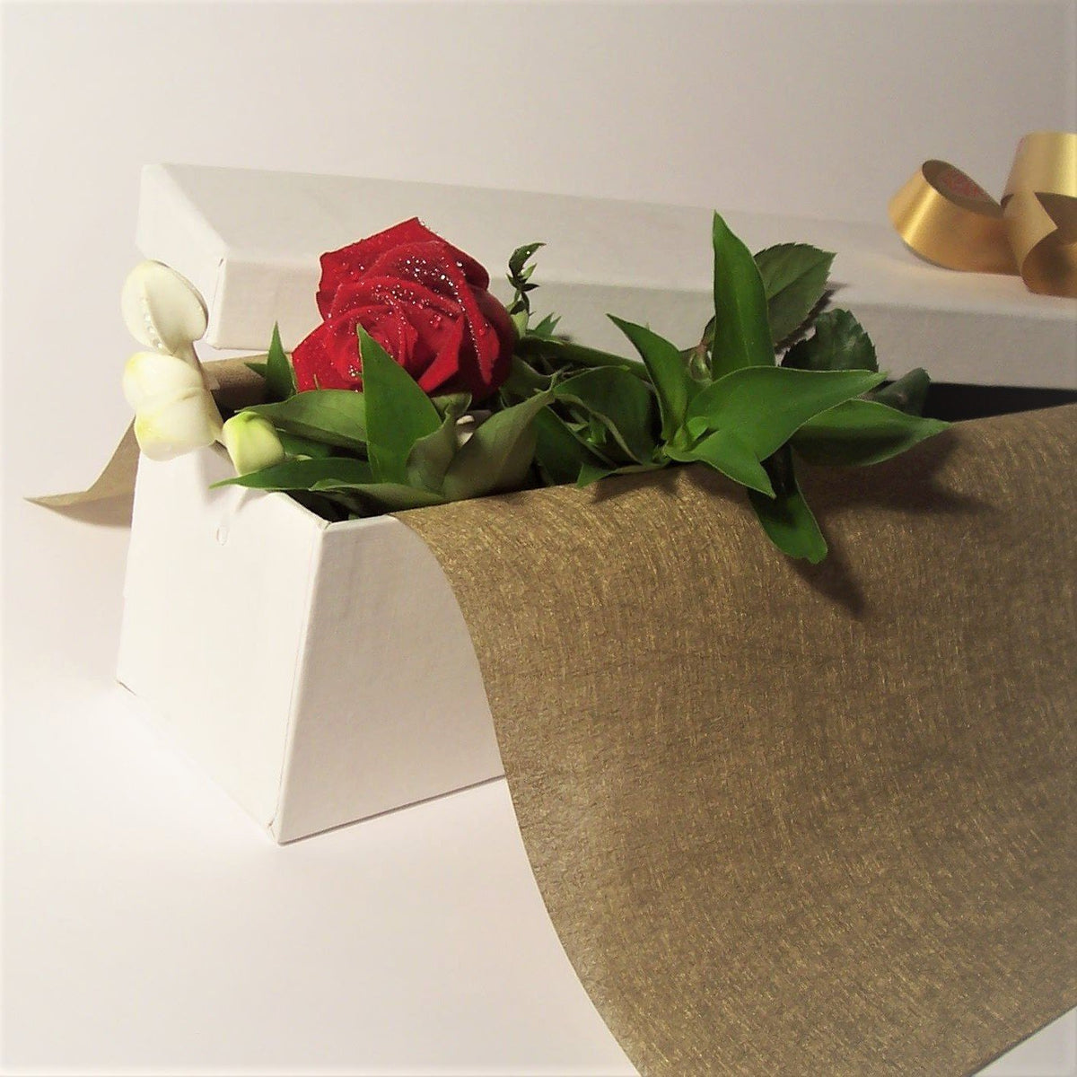 Amora - Single Red Rose in Long Box – Ollie's Blooms & Plants
